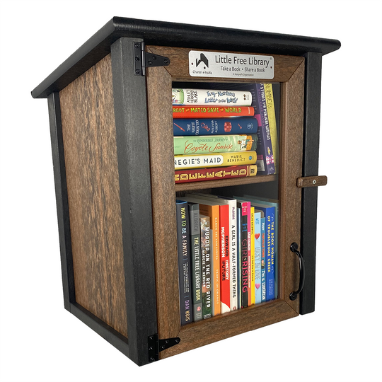 Finished Little Free Libraries – Little Free Library