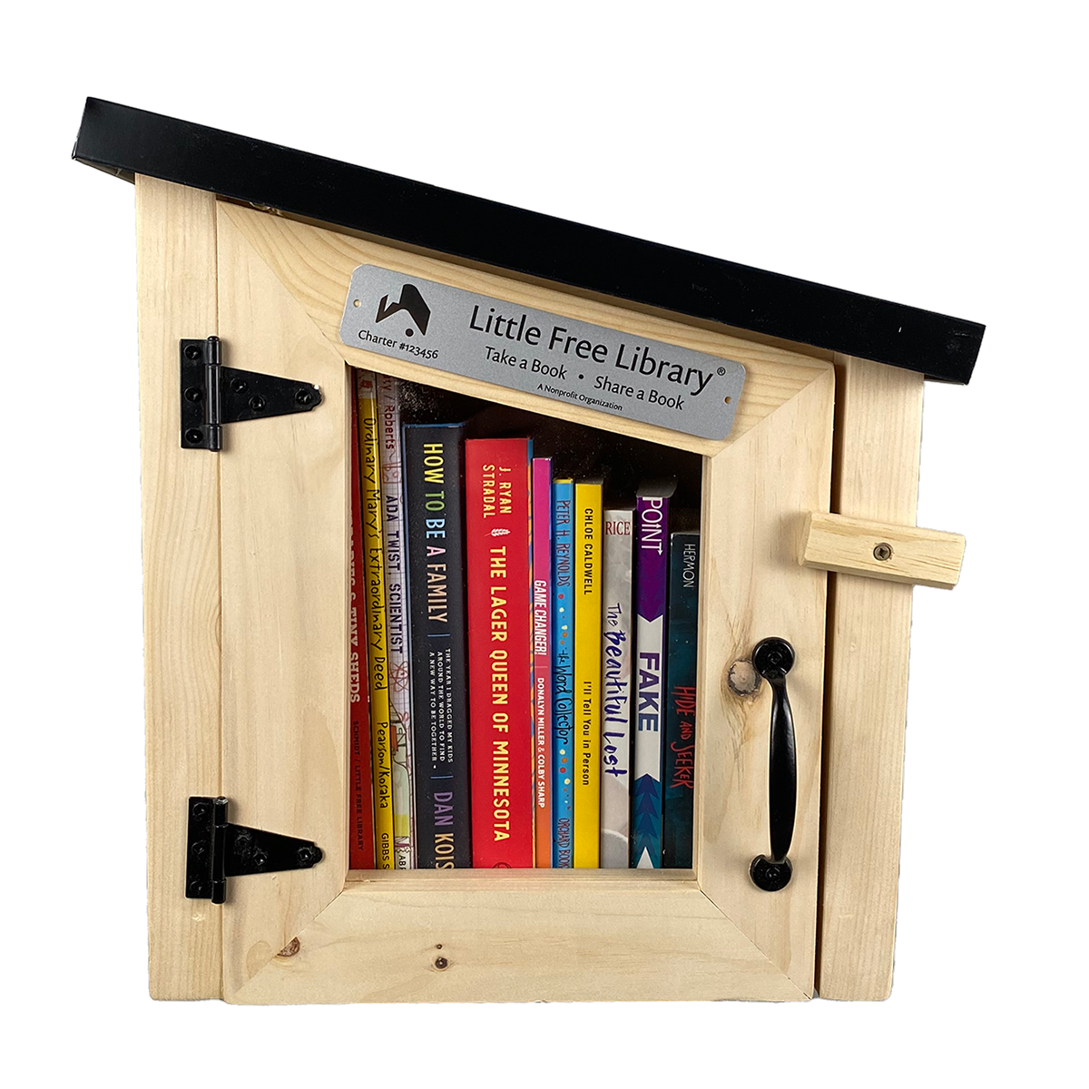 Mini Modern Little Free Library