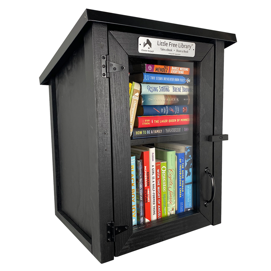 Finished Little Free Libraries – Little Free Library